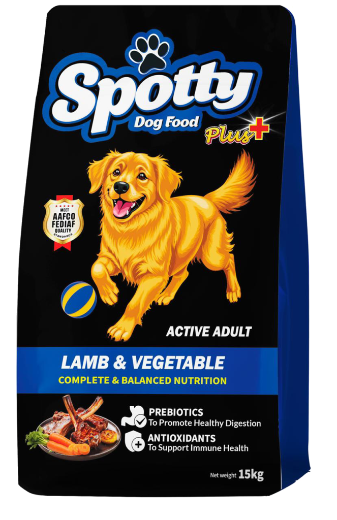 Spotty Plus – Pioneer Perfection